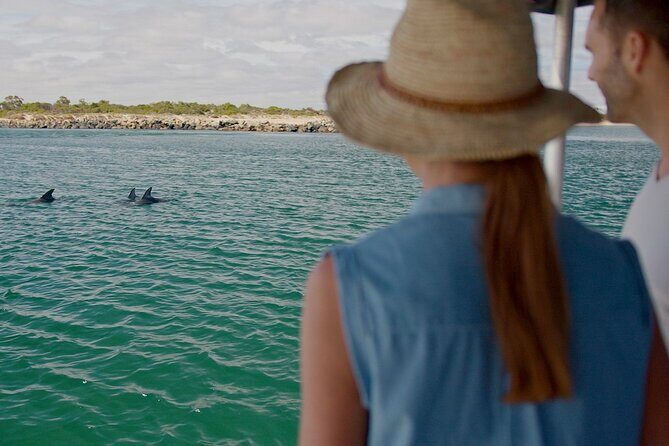 Guided Dolphin Eco-Cruise in Koombana Bay - Introduction