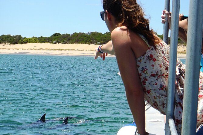 Guided Dolphin Eco-Cruise in Koombana Bay - What to Expect from the Dolphin Eco-Cruise