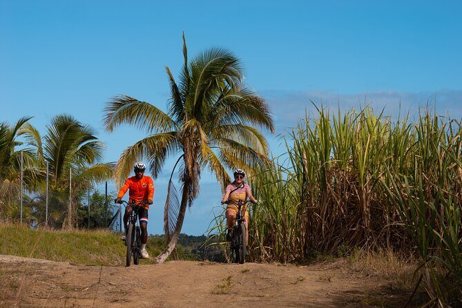 Guided E-bike Tour - An In-Depth Look at the Guided E-bike Tour