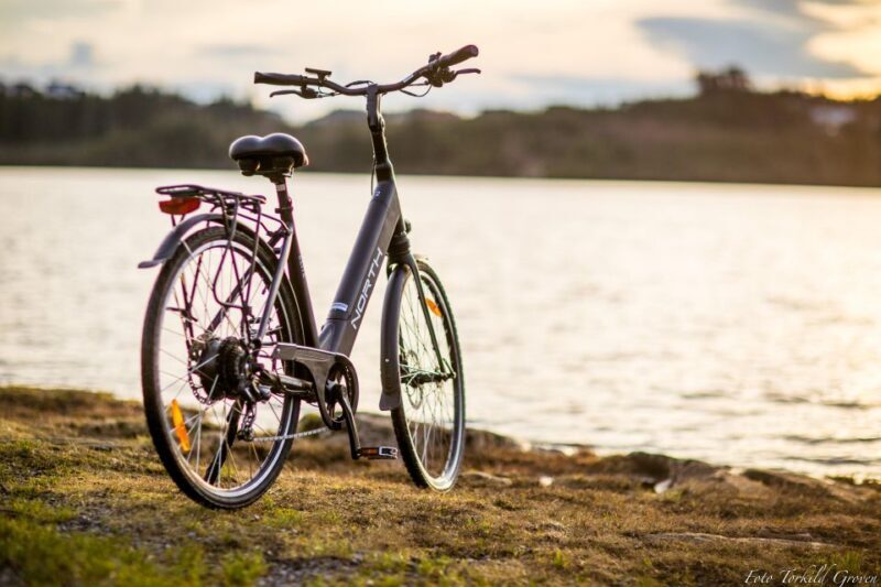 Guided E-Bike Tour in Haugesund: city, vikings, Rising Tides - Why Youll Love the Haugesund E-Bike Tour
