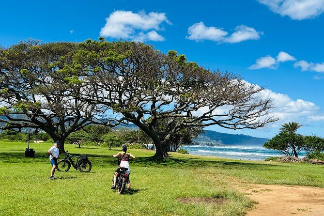 Guided E-Bike Tour in North Shore - Exploring the North Shore on an E-Bike: A Practical and Authentic Adventure
