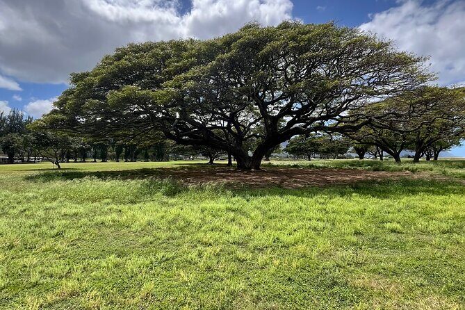 Guided E-Bike Tour in North Shore - The Sum Up: Who Will Love This Tour?