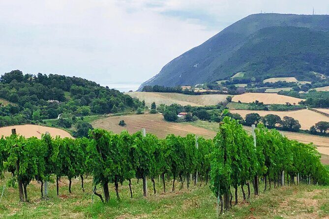 Guided E-Bike tour with food and wine tasting. - What’s Included and What to Keep in Mind