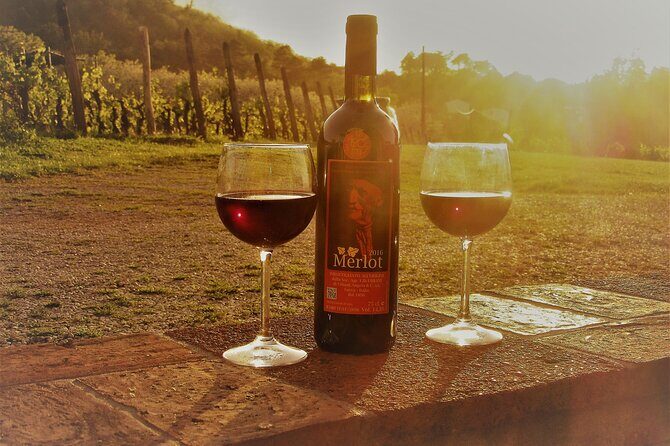 Guided E-Bike Tour with Wine Tasting from Lucca - What Reviewers Love Most