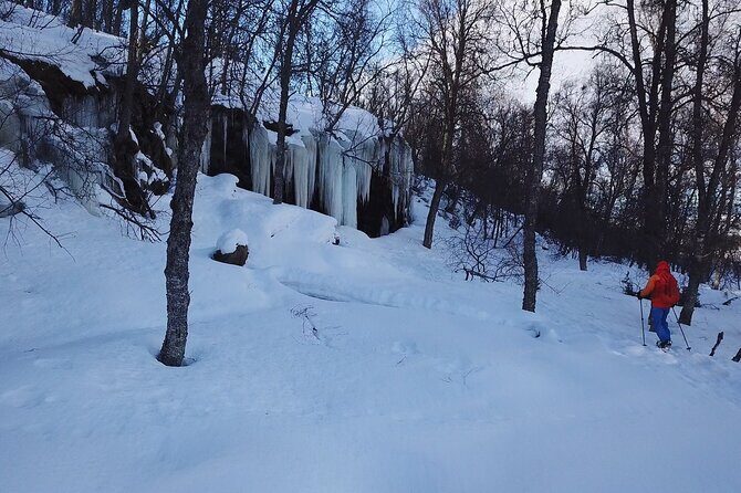 Guided easy snowshoeing with a visit to local café - Who This Tour Is Best For