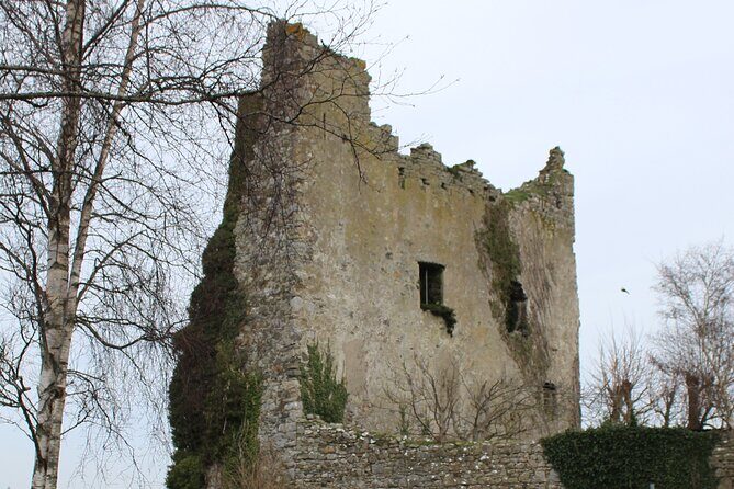 Guided eBike Tour - Killaloe and the Lough Derg Shore - Key Points