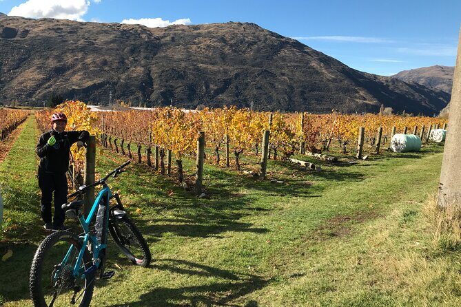 Guided eBike Wine Tour Ride to the Vines - Practical Considerations