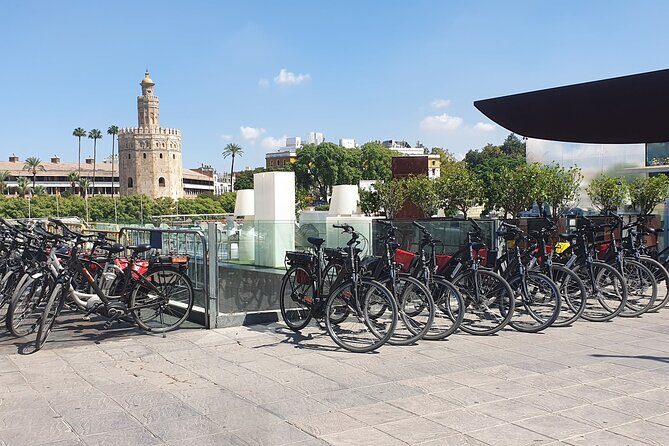 Guided Electric Bicycle Tour of Seville - Key Points