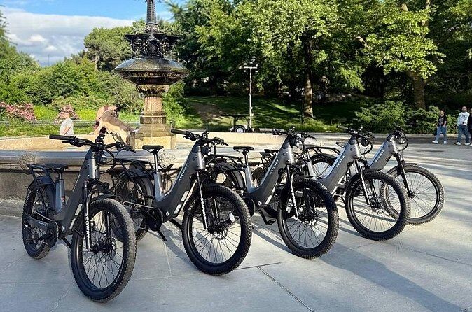 Guided Electric Bike Tour of Central Park in New York City - Who Will Benefit Most?
