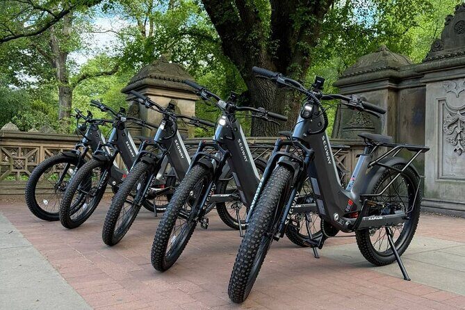 Guided Electric Bike Tour of Central Park in New York City - The Sum Up