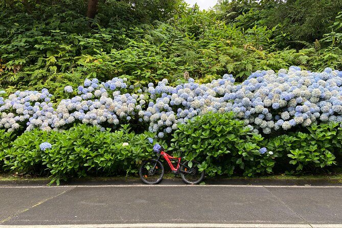 Guided Electric Mountain Bike in Sete Cidades - Key Points