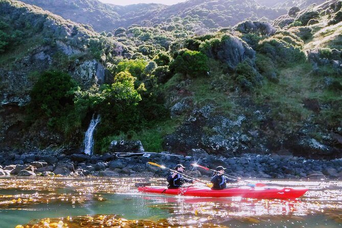 Guided Electric Mountain Bike & Sea Kayak Tour in Akaroa - An In-Depth Look at the Tour Experience