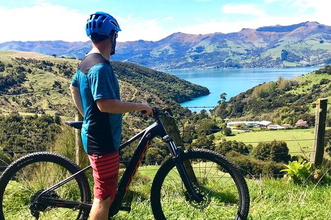 Guided Electric Mountain Bike Tour- Akaroa Explorer - An In-Depth Look at the Akaroa Electric Mountain Bike Tour