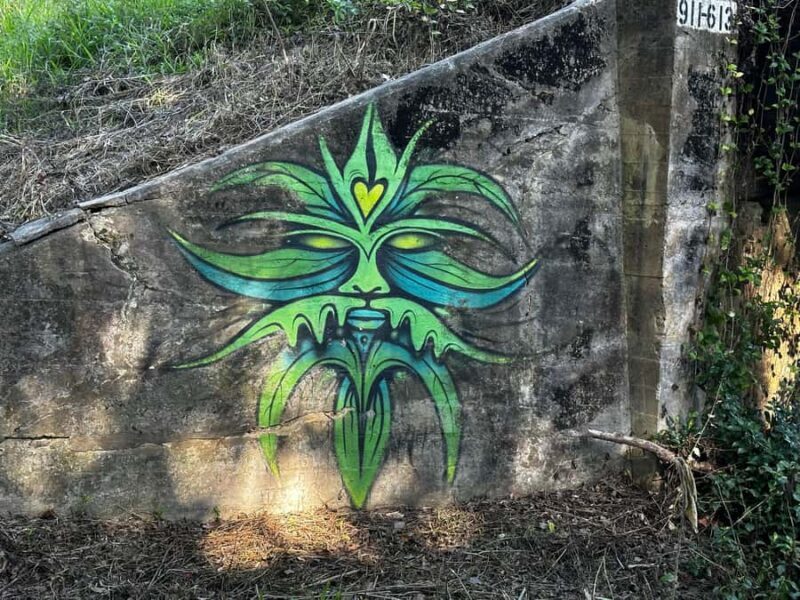 Guided Evening Glow Worm Experience - Byron Bay - Key Points