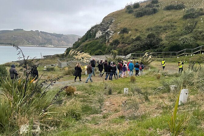 Guided Evening Penguin Viewing Otago Peninsula, Dunedin, New Zealand - FAQ