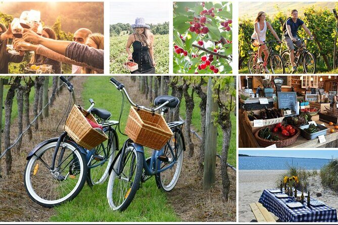 Guided Farm and Wine Country Bike Tour in Mattituck NY - Key Points