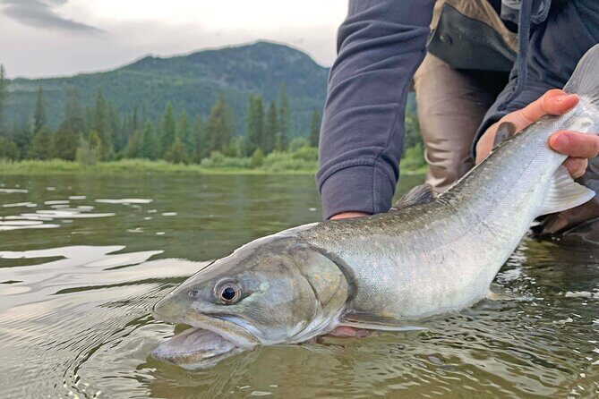 Guided Fishing Adventure in Whistler - Frequently Asked Questions