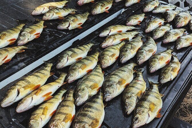 Guided Fishing Trip on Lake Cascade - Why Choose a Guided Fishing Trip on Lake Cascade?