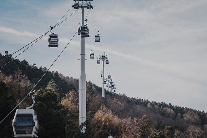 Guided Full Day Bursa Tour From Istanbul With Lunch and Cable Car - The Full-Day Bursa Experience: What You Can Expect