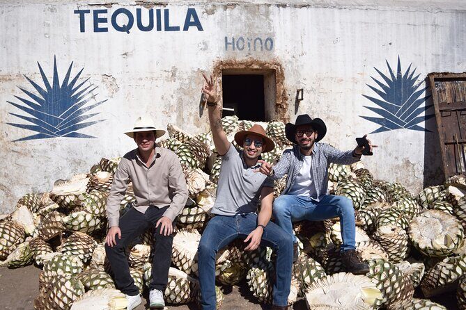 Guided Full Day Tour to Tequila and Cantaritos el Guero - Key Points
