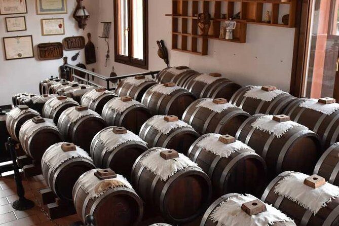 Guided group tour TastyBus: Parmesan Cheese and Parma Ham - An Inside Look at What the Tour Offers