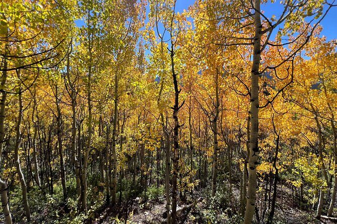 Guided Hike in Rocky Mountain National Park - Detailed Breakdown of the Itinerary