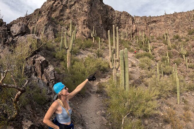 Guided Hike in the Sonoran Desert - Who Would Love This Tour?