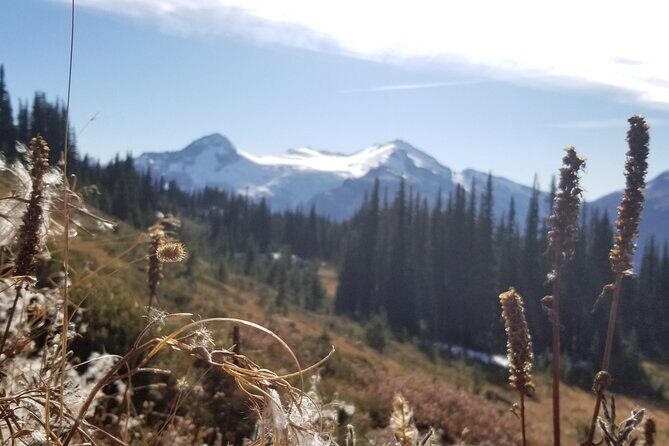 Guided Hiking and Camping Tour - Final Thoughts: Who Is This Tour Best For?