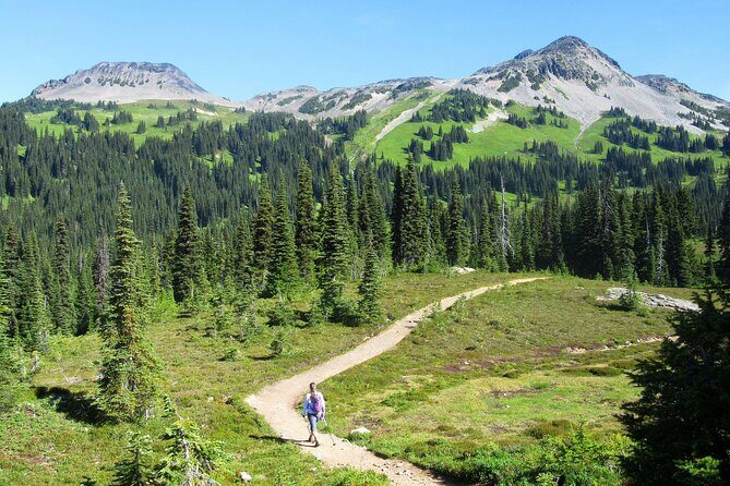 Guided Hiking and Camping Tour - FAQ: Practical Questions Answered