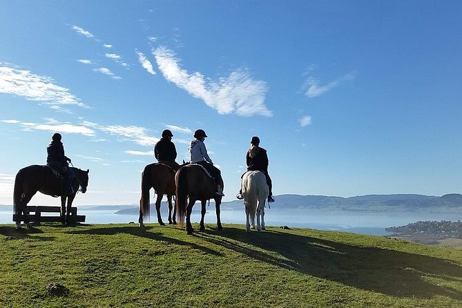 Guided Horse Trekking from Rotorua - Key Points