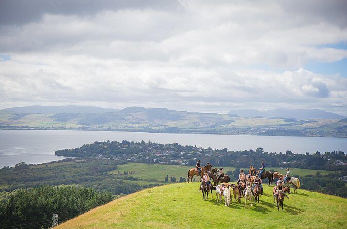 Guided Horse Trekking from Rotorua - An Honest Look at the Rotorua Horse Trekking Experience