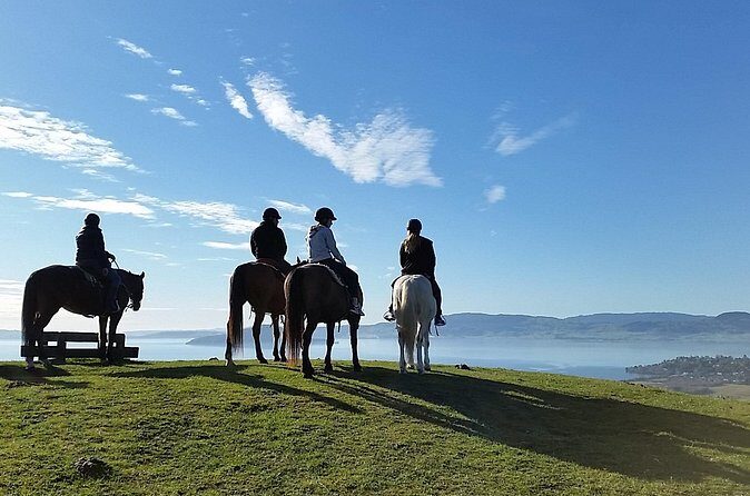 Guided Horse Trekking from Rotorua - Practical Details and Tips