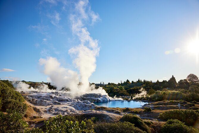 Guided Horse Trekking from Rotorua - The Sum Up
