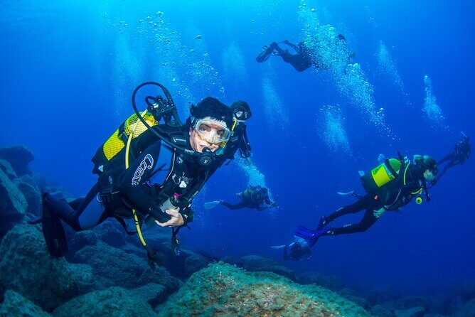 Guided Immersion from Santa Cruz de Tenerife - Key Points