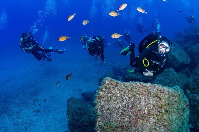Guided Immersion from Santa Cruz de Tenerife - Who Would Love This Experience?
