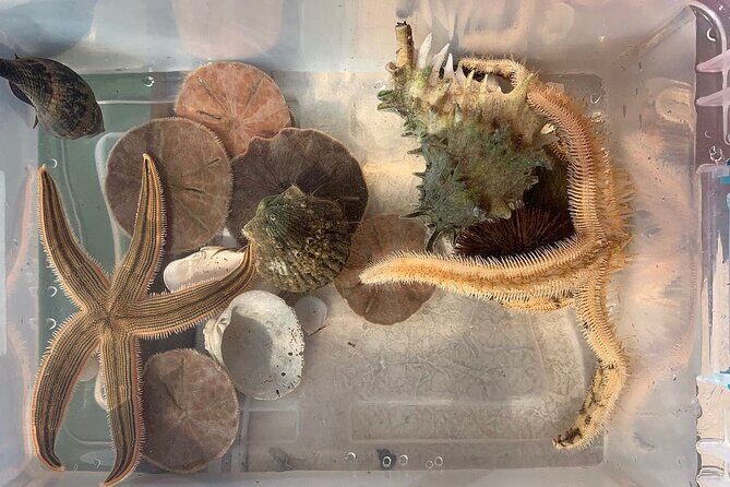 Guided Jet Ski Adventure Tour - Key Points