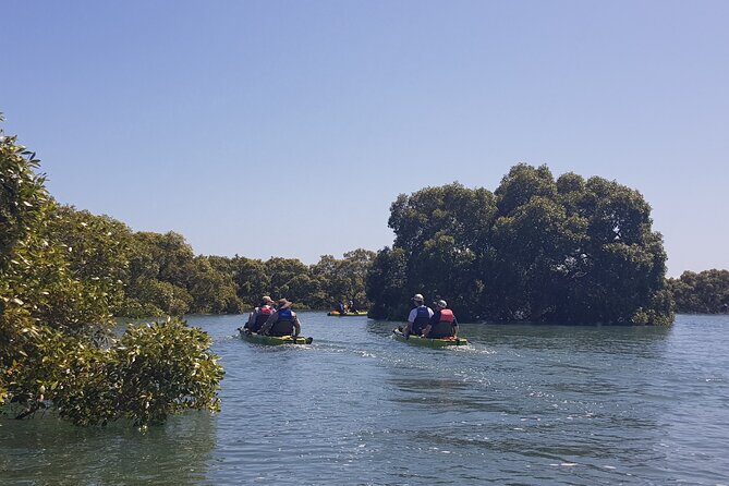 Guided Kayak Adventure Tour - Exploring Moreton Bay by Kayak: A Detailed Review
