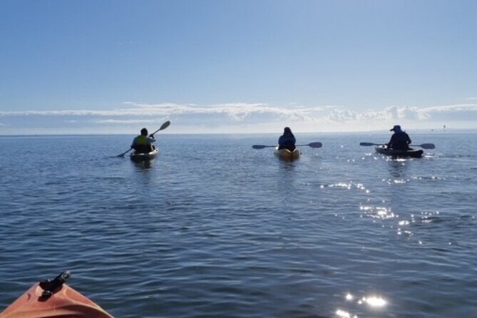 Guided Kayak Adventure Tour - Key Points