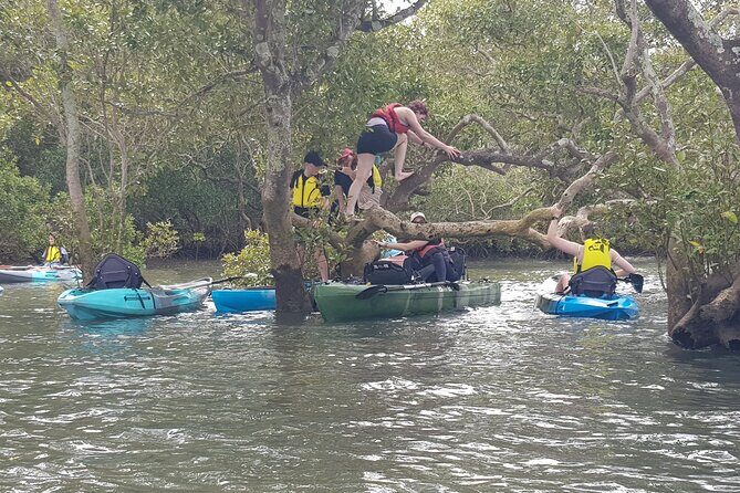 Guided Kayak Adventure Tour - Practical Details & Considerations