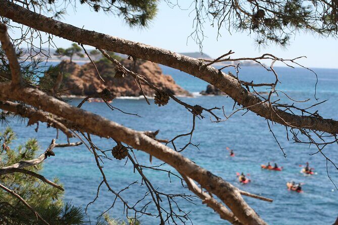 Guided Kayak and Snorkeling Tour on the Costa Brava: Sant Feliu - The Sum Up