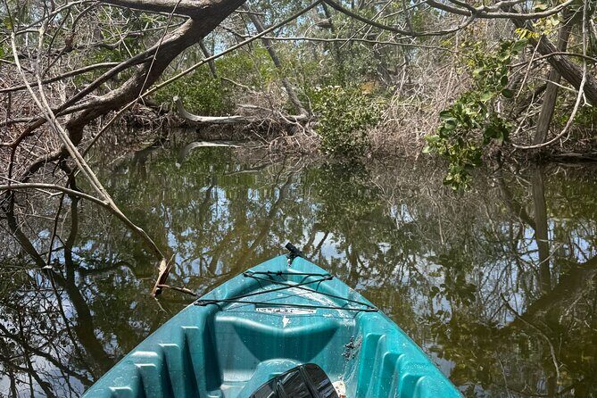 Guided Kayak Experience at EG Simmons Park - Introduction: What to Expect from This Guided Kayak Tour