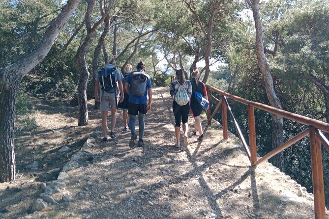 Guided Kayak & Hike from Sant Elm to Sa Dragonera - Who Will Love This Tour?