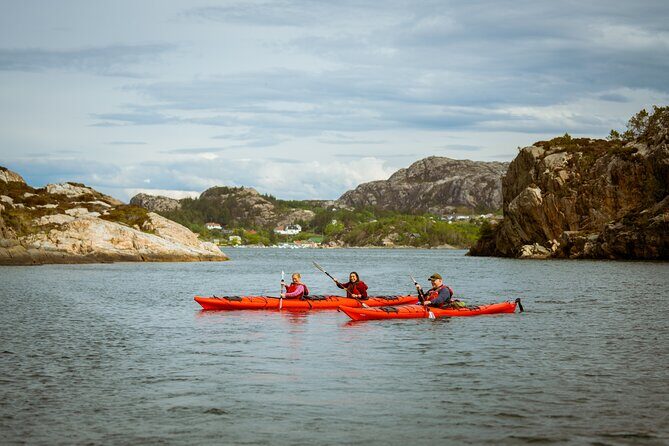 Guided Kayak Tour Bergen - What to Expect During the Tour