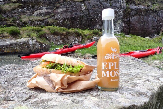 Guided Kayak Tour Bergen - The Sum Up