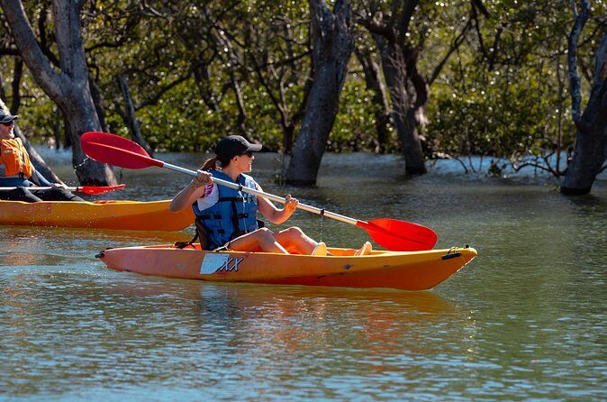 Guided Kayak Tour - FAQ