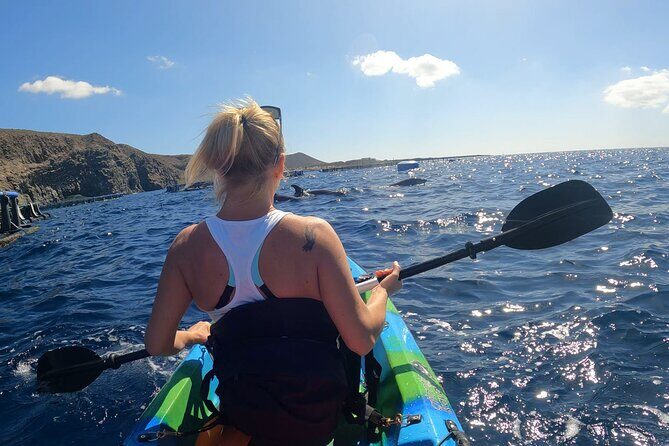 Guided Kayak Tour From Los Cristianos Beach Tenerife - Who Should Consider This Tour?