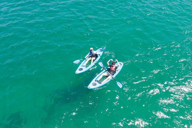 Guided Kayak Tour of Manly Cove Beaches - FAQs