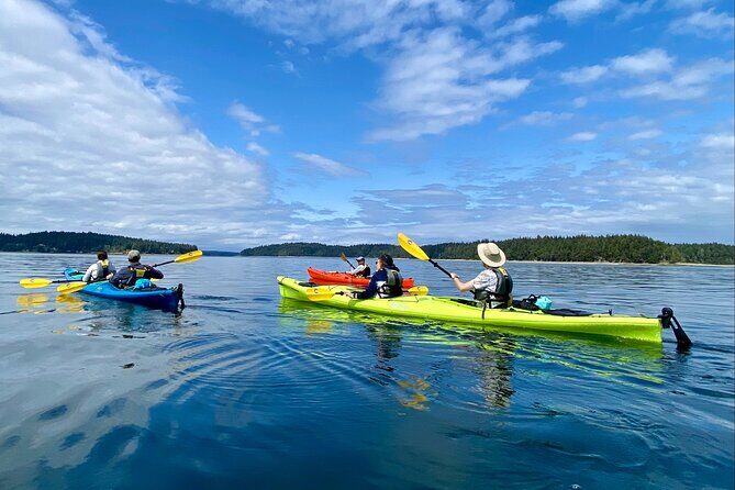 Guided Kayak Tour To Hope Island State Park - Key Points