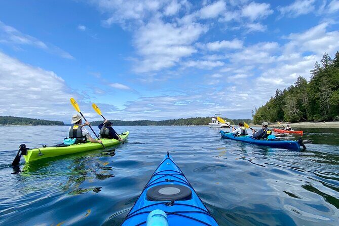 Guided Kayak Tour To Hope Island State Park - An In-Depth Look at the Tour Experience