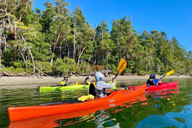Guided Kayak Tour To Hope Island State Park - FAQ